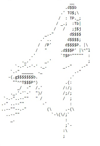 TWNN Static Resources